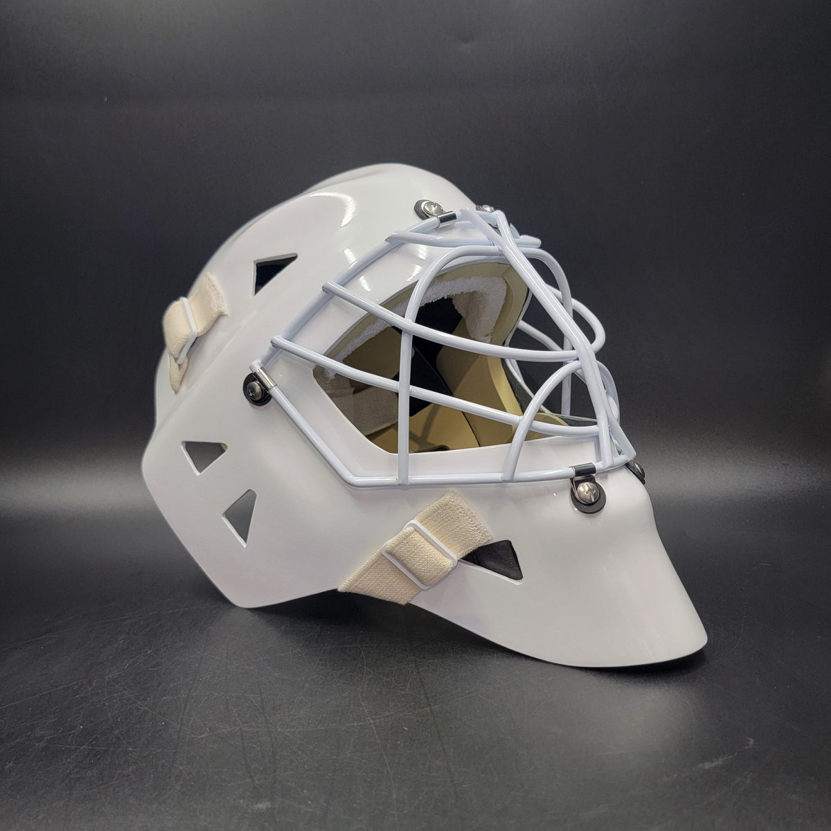 GOALIE MASKS – LGR LeGARDIEN SPORTS